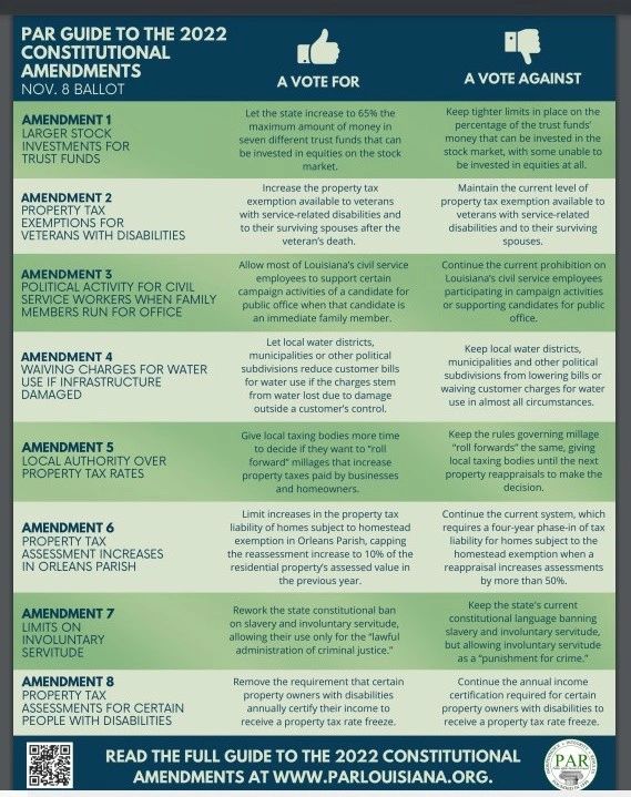 November 8 Voter Ballot - State Constitution Amendments